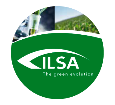 Paola Piona per Ilsa Spa -it - Credit Data Research